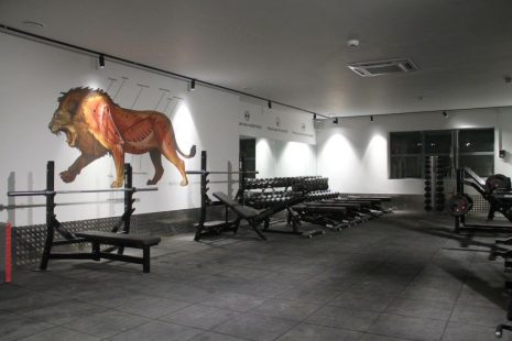 Evolve Gym - Evolve Gym